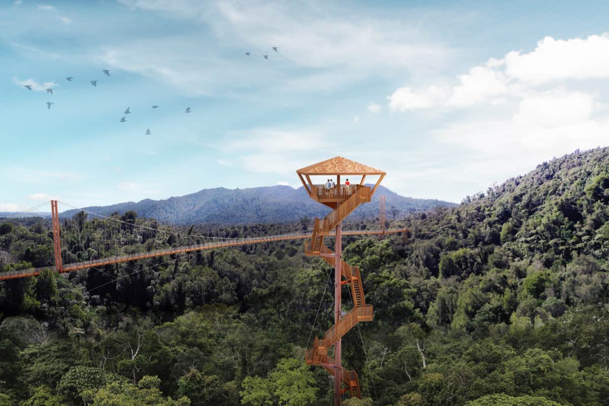 Pukeiti Rainforest Look-out Tower - DC Structures Studio